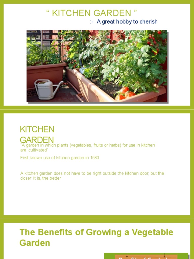 Kitchen Garden | PDF | Mulch | Gardens