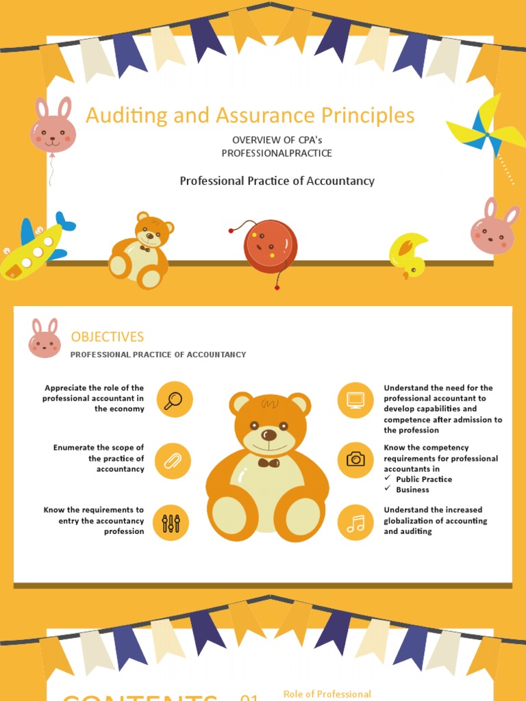 Chapter 1 Professional Practice of Accountancy | PDF | Certified Public ...
