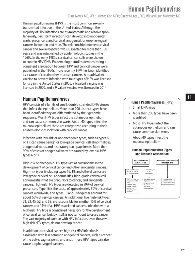 Human Papillomaviruses: Elissa Meites, MD, MPH Julianne Gee, MPH ...