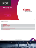 Ciena - RLS Planning - Guide - Part-4 | PDF | Wavelength Division ...