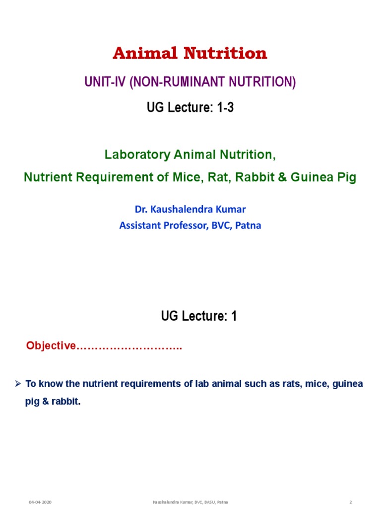 Laboratory Animal Nutrition Nutrient Requirement of Mice Rat Rabbit ...
