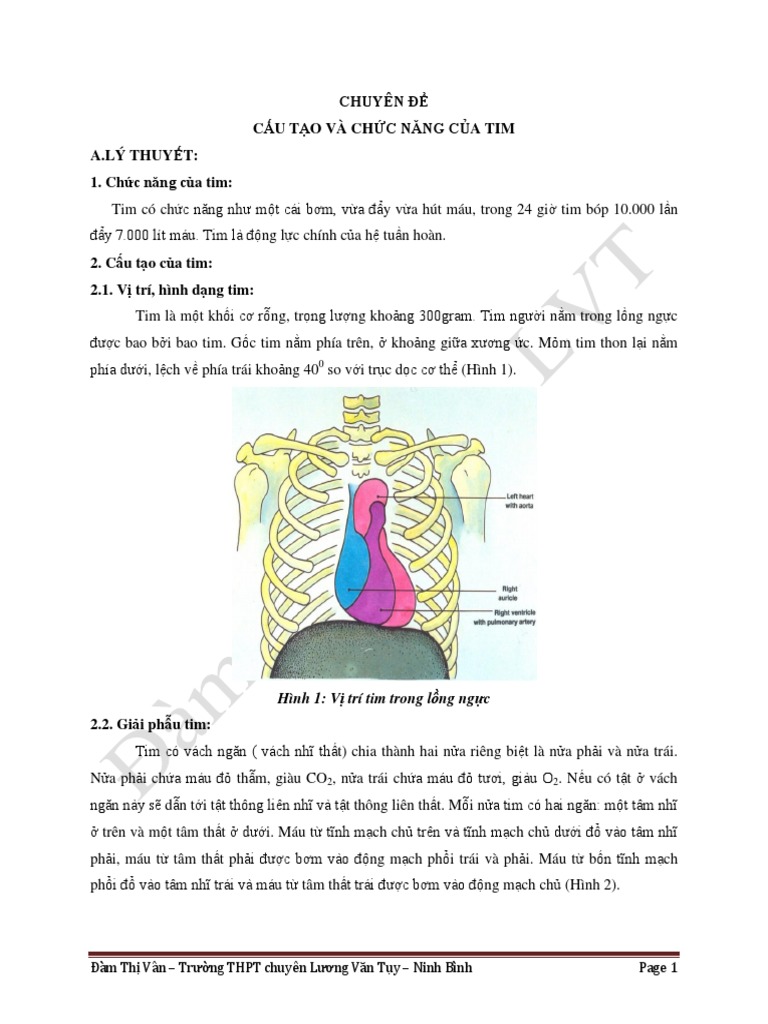 Chuyen de Sinh Li Tim | PDF