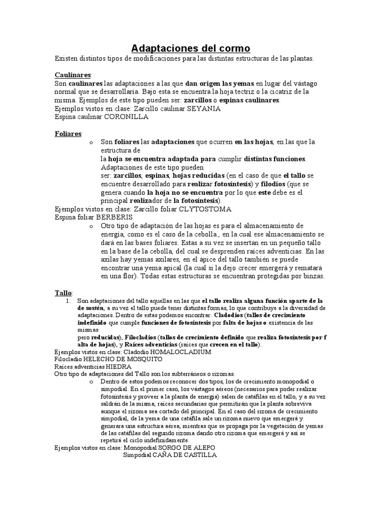 Adaptaciones Del Cormo | PDF | Tallo de la planta | Hoja