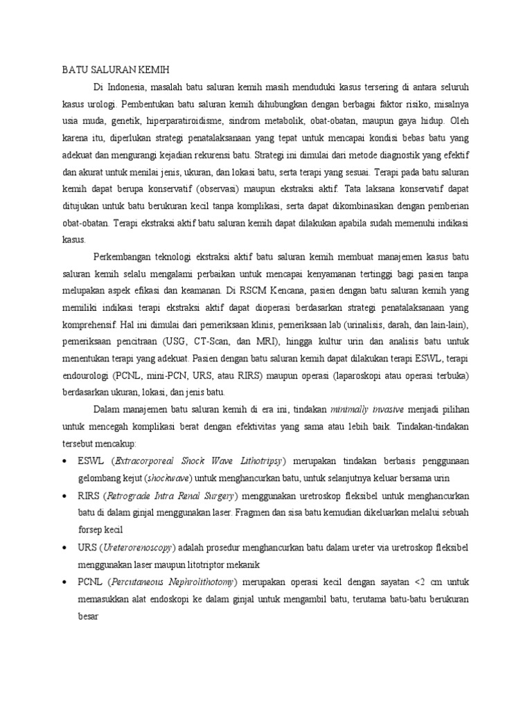 Batu Saluran Kemih | PDF