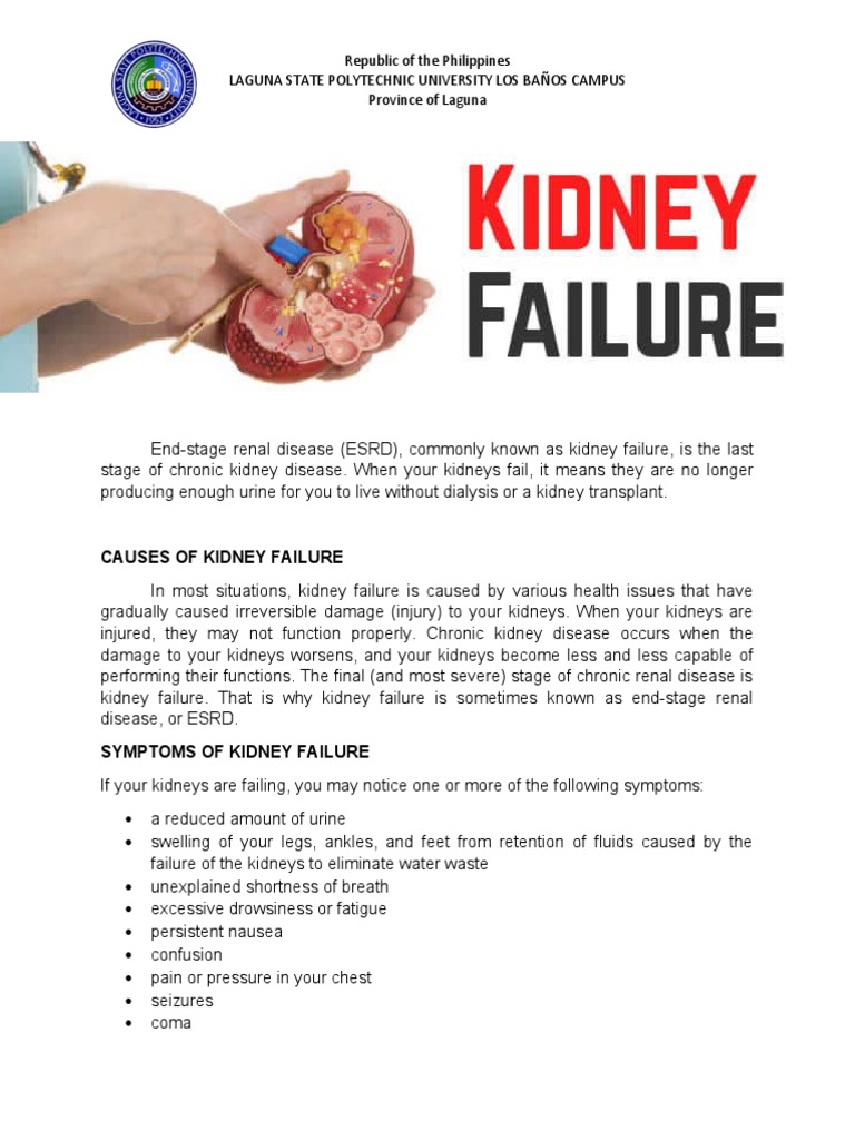 Kidney-Failure (Anatomy and Physiology) | PDF | Dialysis | Chronic ...