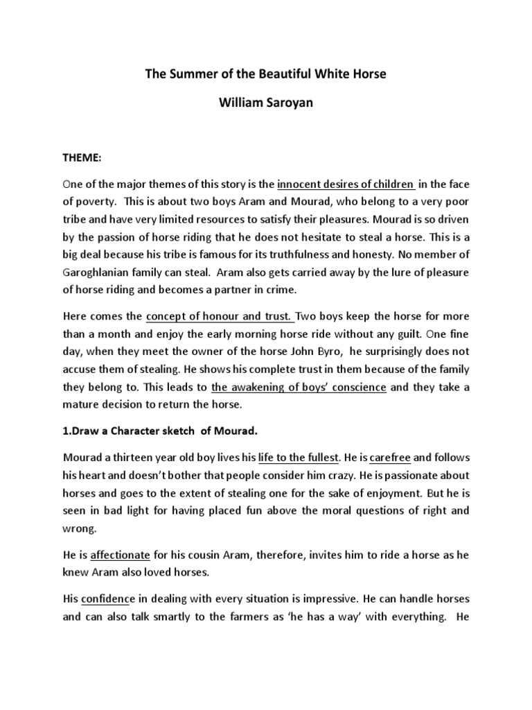 The Summer of The Beautiful White Horse Notes | PDF