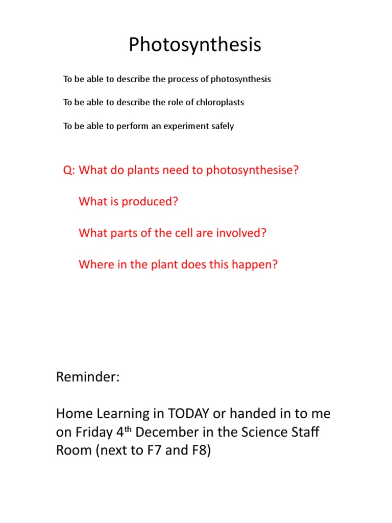 Photosynthesis Process Guide | PDF | Chloroplast | Photosynthesis