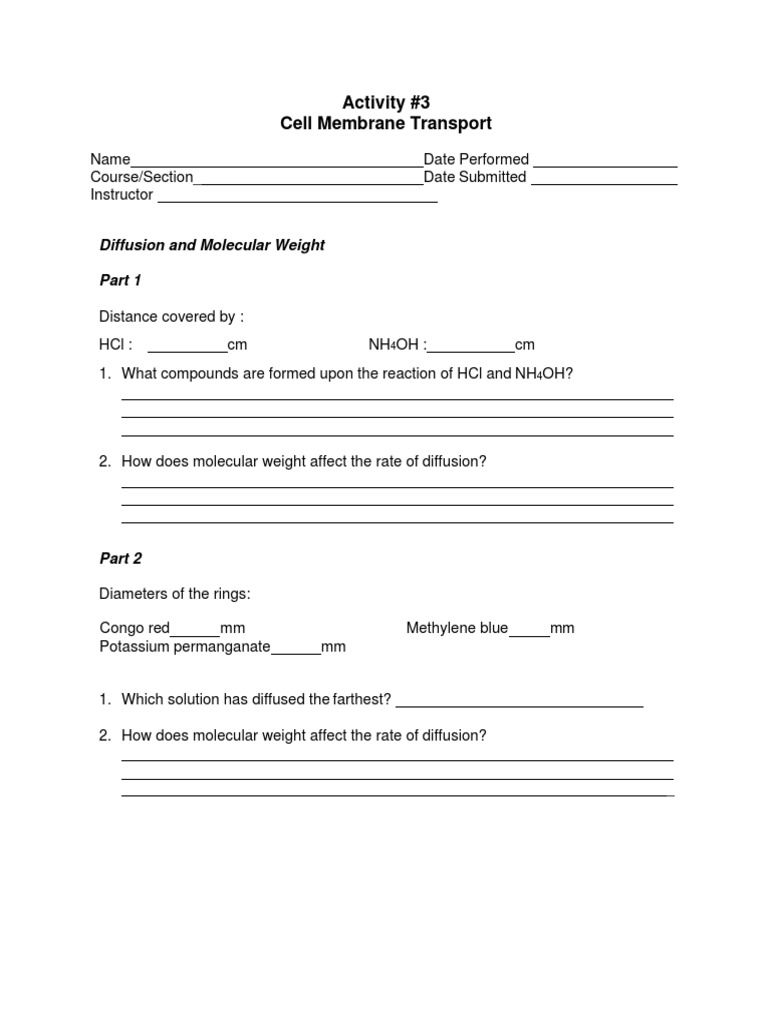 Activity #3 Cell Membrane Transport: Diffusion and Molecular Weight | PDF