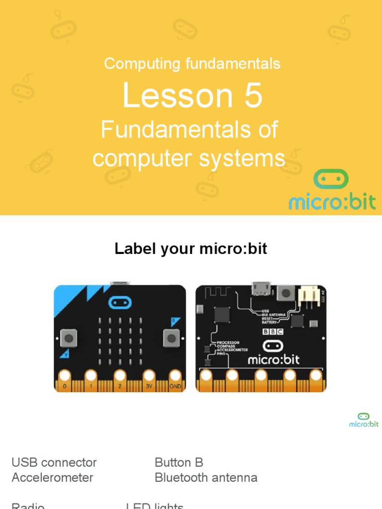 Computing Fundamentals: Lesson 5 | PDF | Input/Output | Computer Hardware