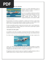 Comparativa de Estilos de Natación | PDF | Codo | Nadando