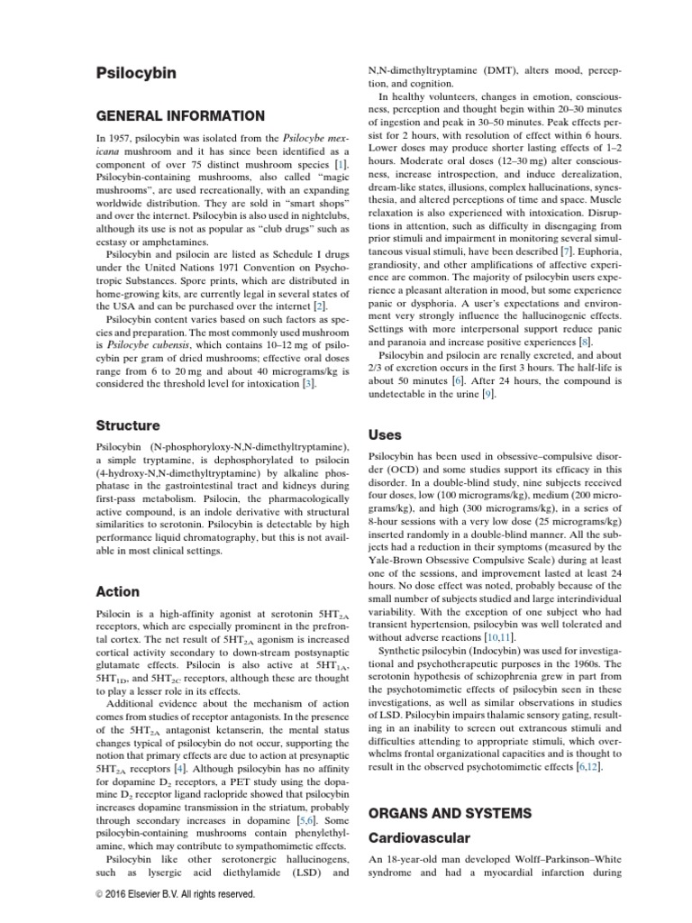 Psilocybin: General Information | PDF | Psilocybin | Clinical Medicine