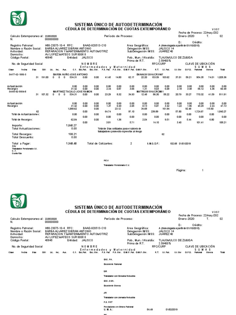 Cédula de Cuotas IMSS Extemporáneas | PDF | Bienestar | Science