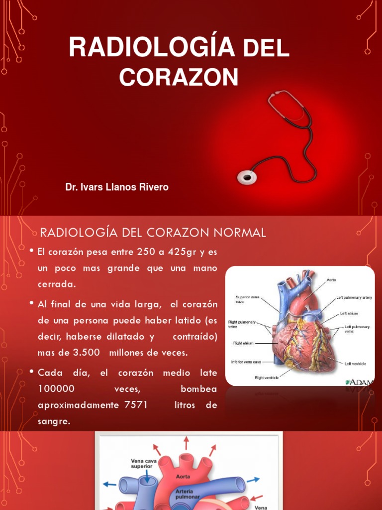 Radiología del Corazón: Guía Completa | PDF | Corazón | Aorta