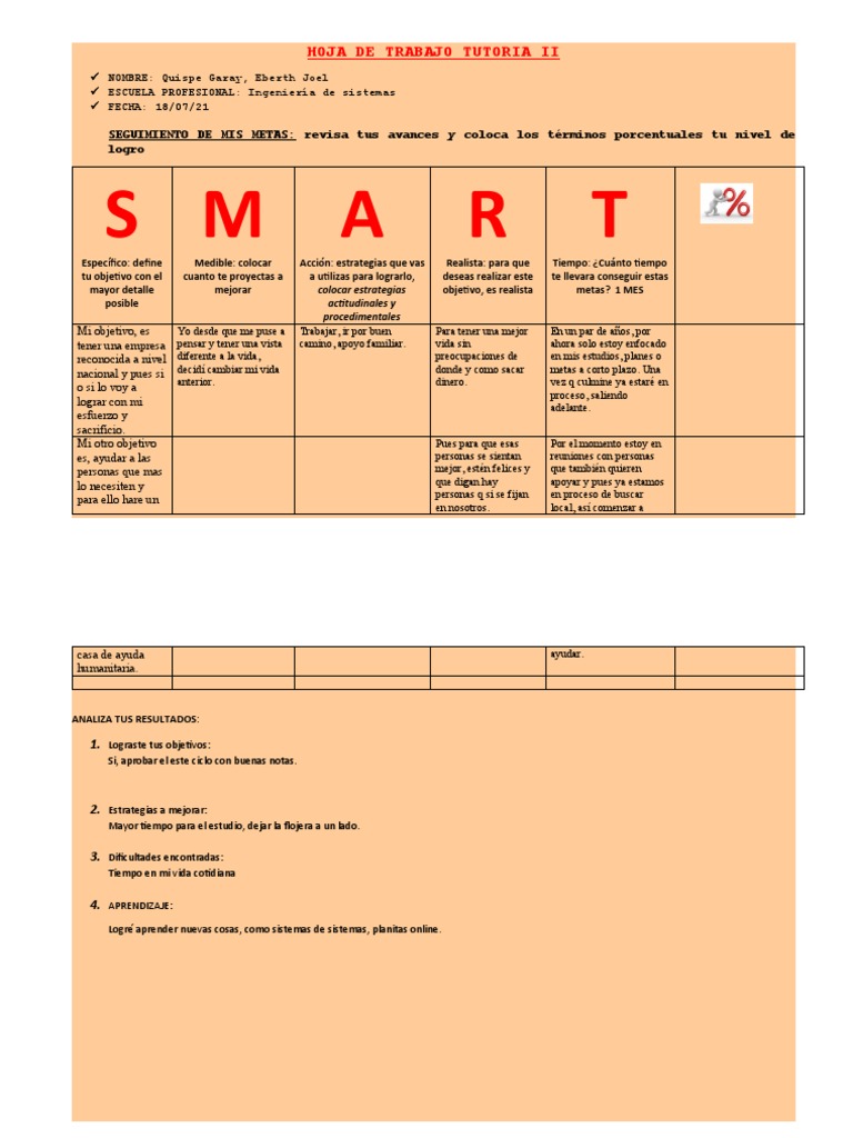 Formato de Metas | PDF | Science | Ciencia (general)