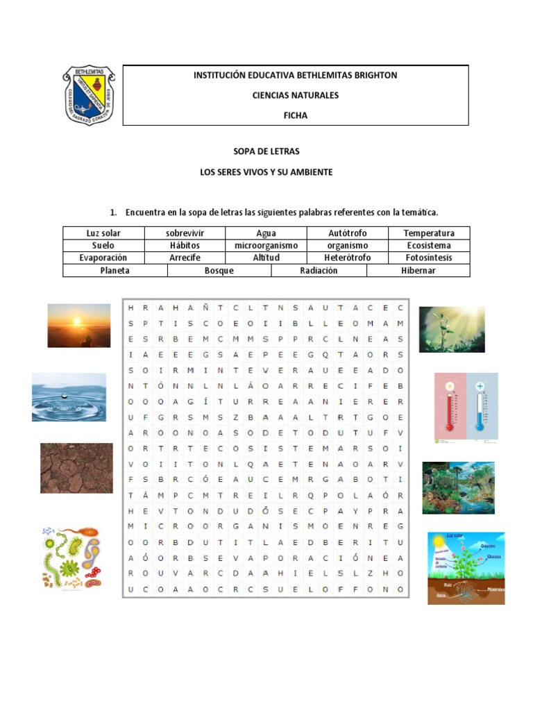 Sopa de Letras Ciencias | PDF