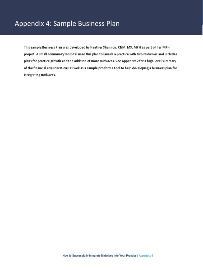 Appendix 4 - Business Plan Template | PDF | Midwife | Midwifery