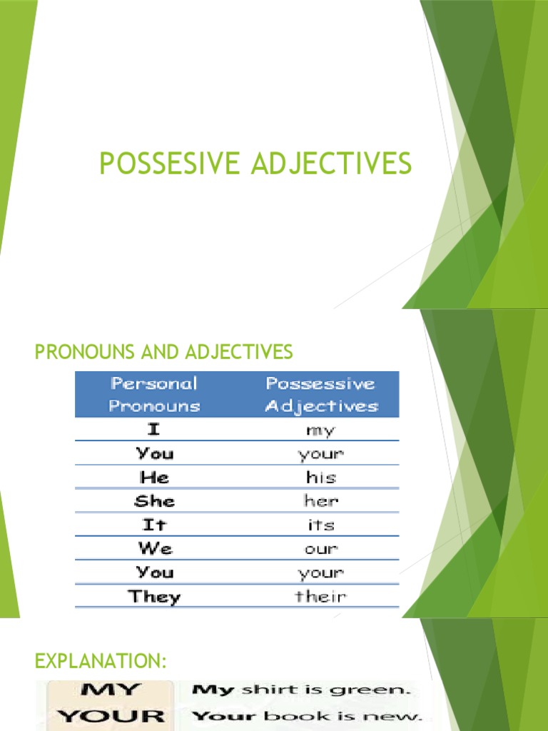 Possesive Adjectives | PDF