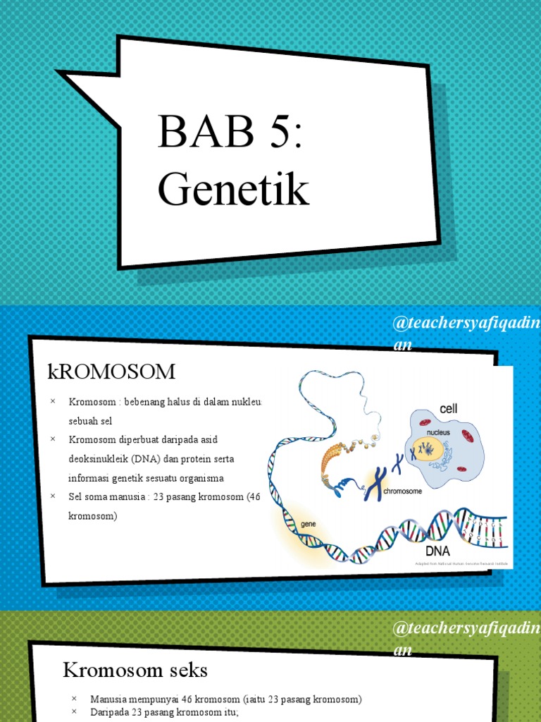 BAB 5 Genetik | PDF