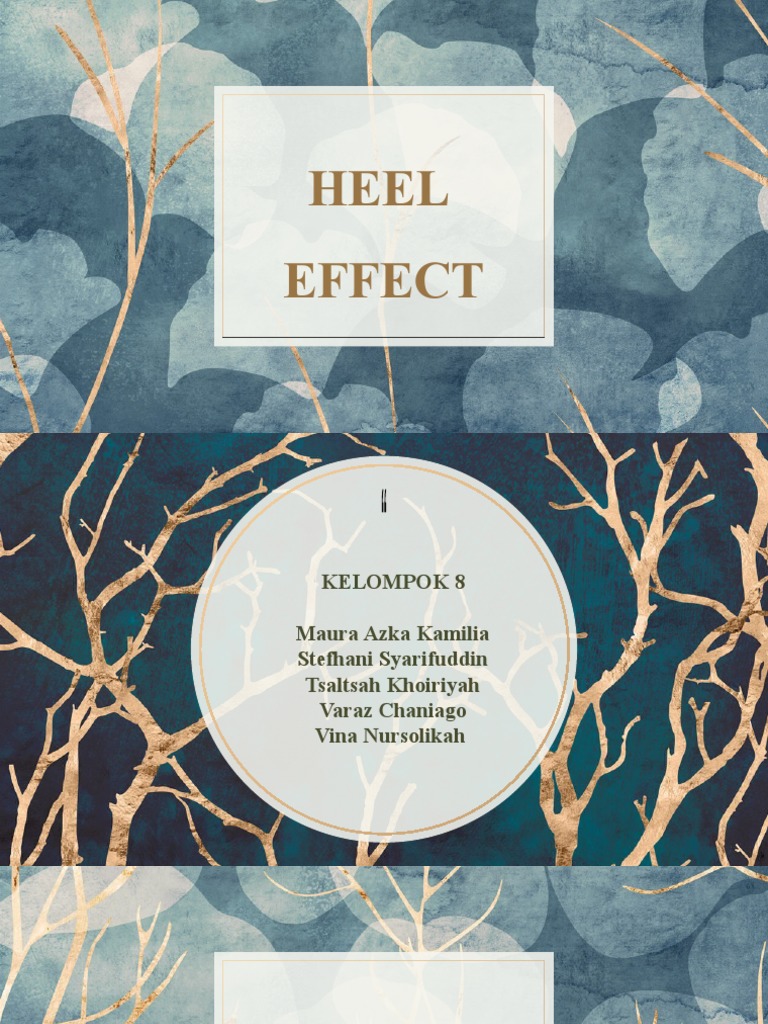 Heel Effect - Kelompok 8 | PDF
