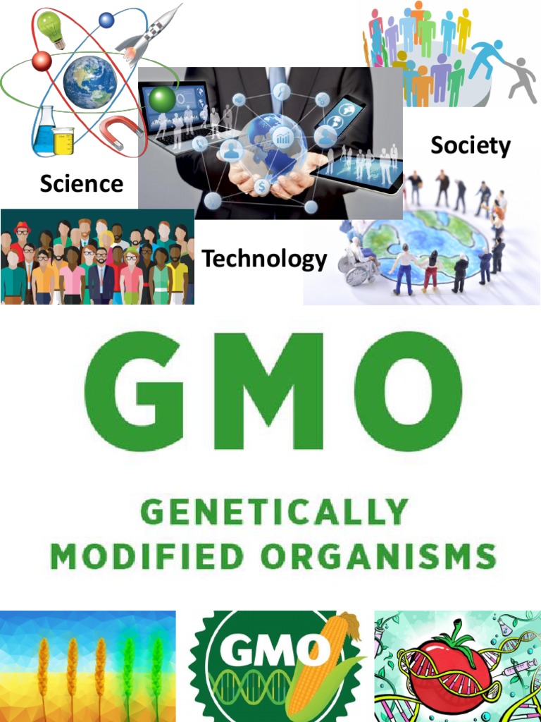 GMOs Genetically Modified Organisms | PDF | Genetically Modified ...