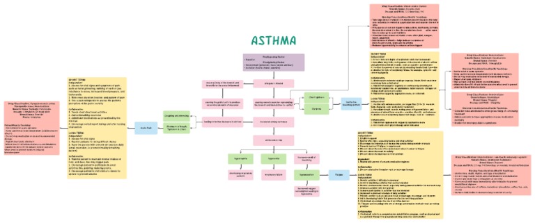 Asthma Concept Map | PDF | Asthma | Breathing