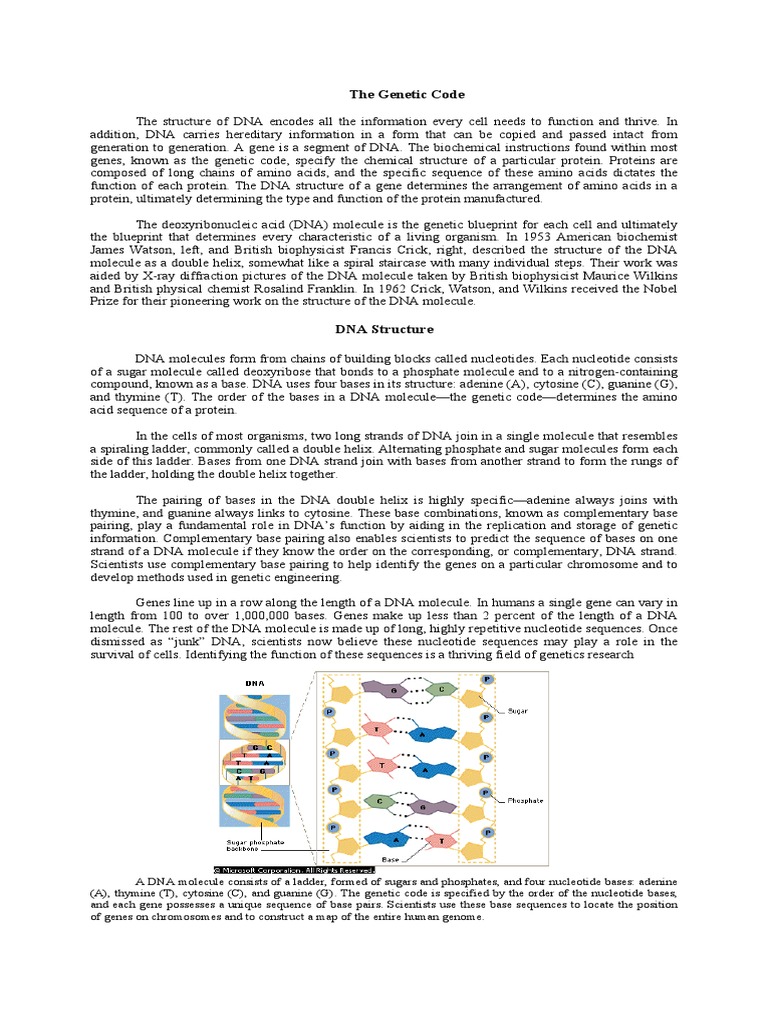 The Genetic Code | PDF | Messenger Rna | Translation (Biology)