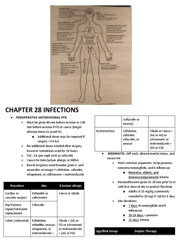 Chapter 28 Infections: Perioperative Antimicrobial PPX | PDF | Urinary ...