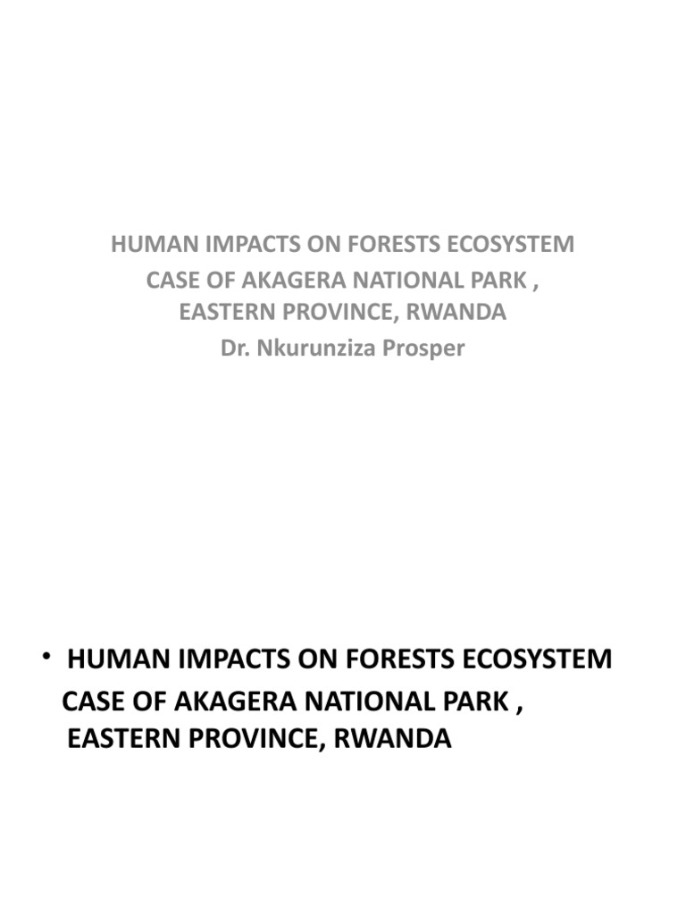 Human Impacts On Forest Resources | PDF | Human Impact On The ...