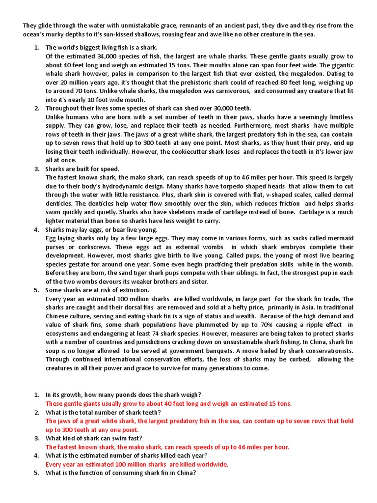 Sharks 101 - National Geographic | PDF | Sharks | Tooth