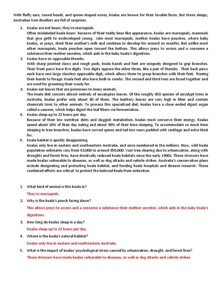 Koalas 101 - Nat Geo Wild | PDF | Koala | Marsupials