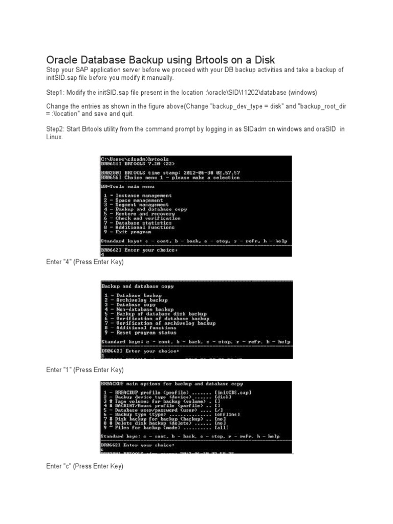 Oracle Database Backup Using Brtools On A Disk | PDF | Computers