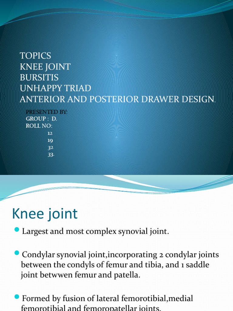 Anatomy | PDF | Knee | Soft Tissue