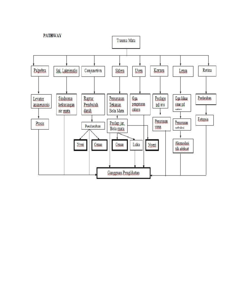 Pathway Trauma Mata | PDF