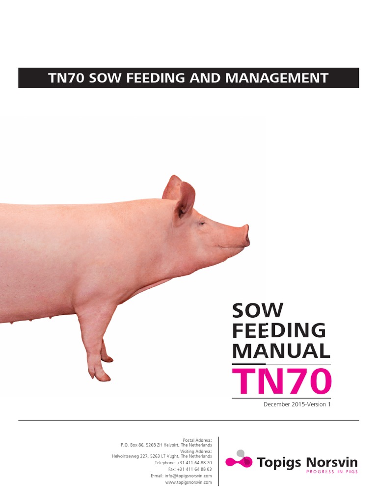 TN70 Sow Feeding and Management | PDF | Domestic Pig | Weaning