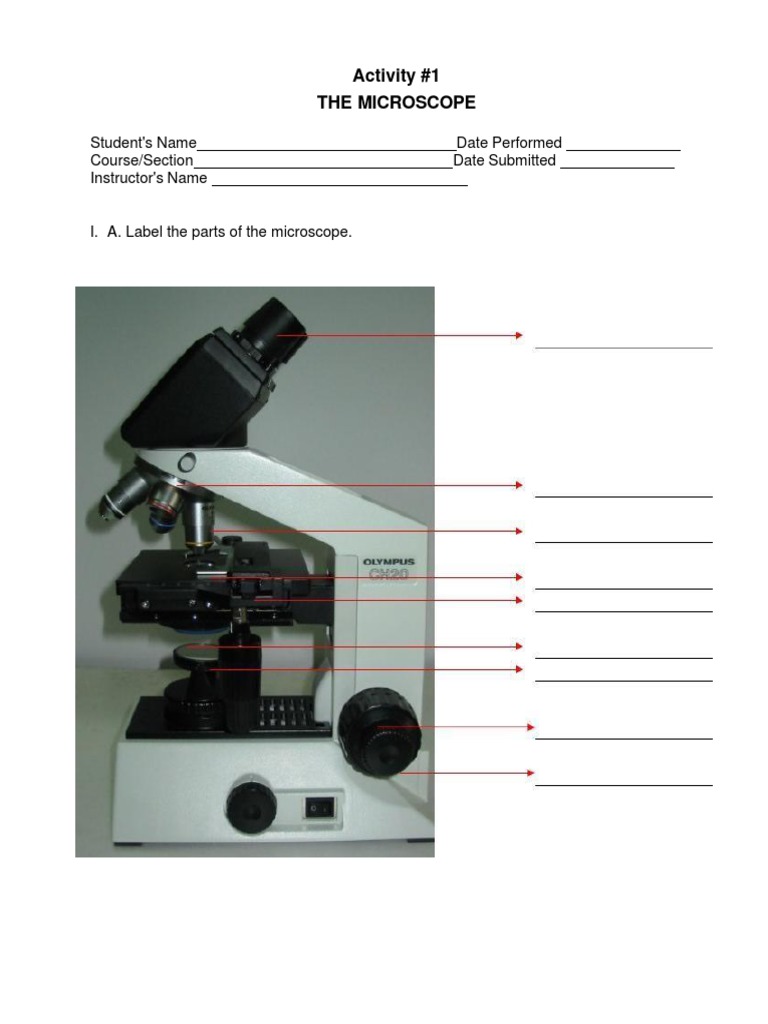 Activity #1 The Microscope: Student's Name Date Performed Course ...