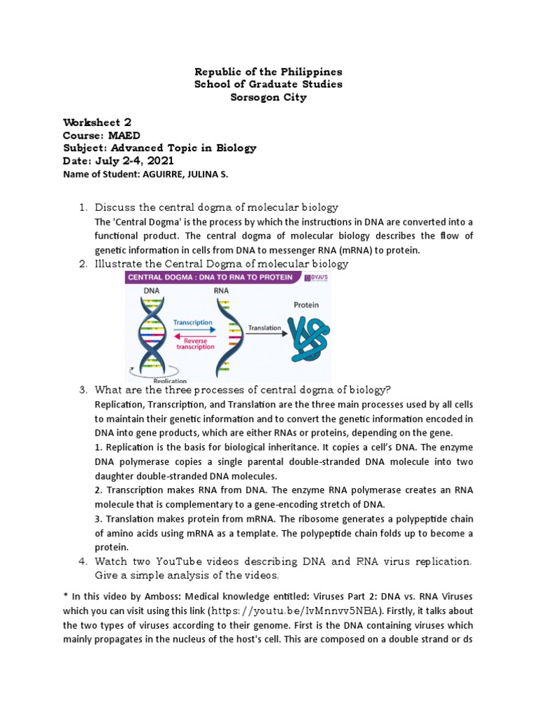Worksheet 2 | PDF | Messenger Rna | Dna