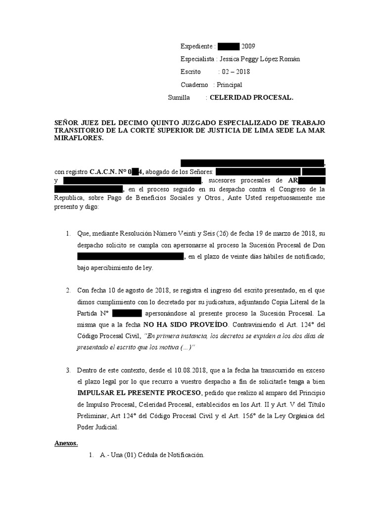 Celeridad Procesal - Sucesión Procesal | PDF | Judicaturas | Instituciones sociales