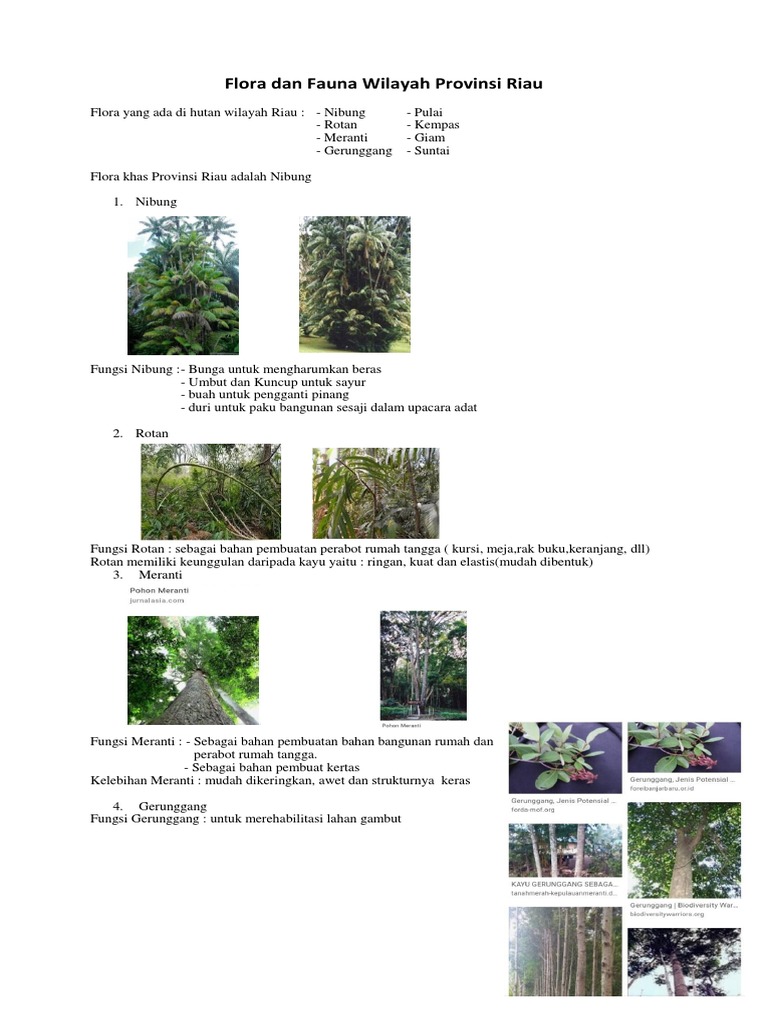Flora Dan Fauna Khas Riau | PDF