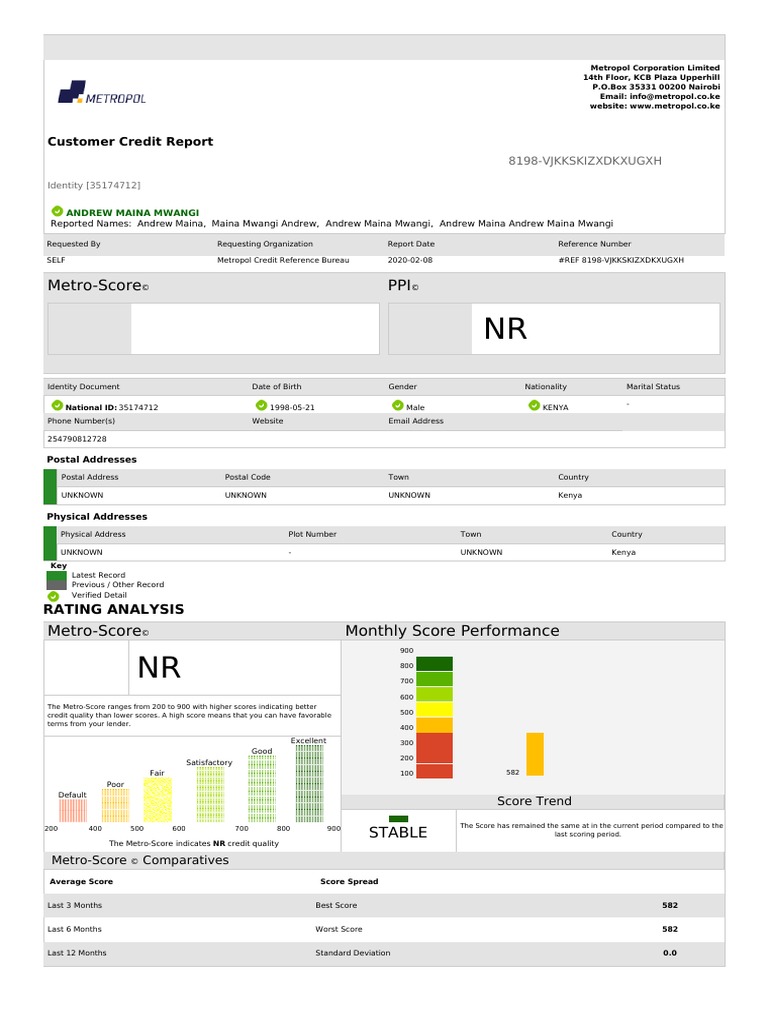 Metro-Score PPI: Customer Credit Report | PDF | Banks | Loans