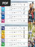 Ficha Técnica Enbrace Standard 500 ML | PDF | Petróleo | Lípido