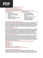 AP Bio-013 Photosynthesis Respiration Worksheet-WL | PDF | Cellular Respiration | Adenosine ...