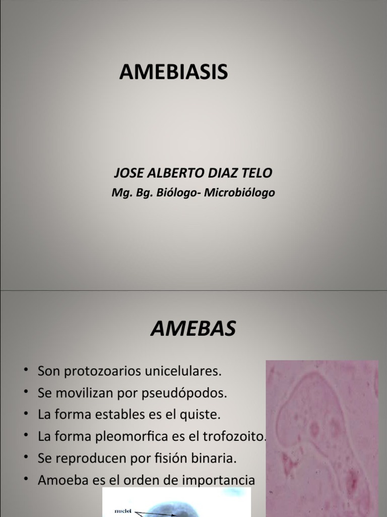 Clase 2 - Amebiasis - Dr. Diaz | PDF | Microbiología | Anatomia animal