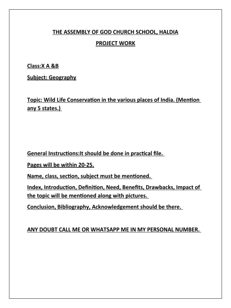 Project Work Class 10 | PDF