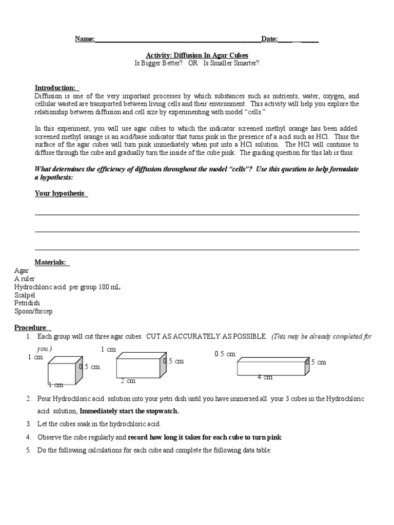 Agar Cube Lab | PDF | Acid | Hydrochloric Acid