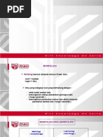 Nota Ringkas Morfologi SPM | PDF