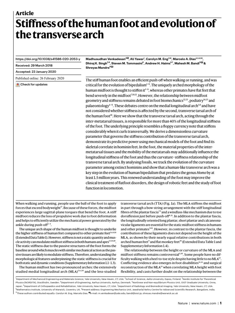 Stiffness of The Human Foot and Evolution of The Transverse Arch | PDF ...