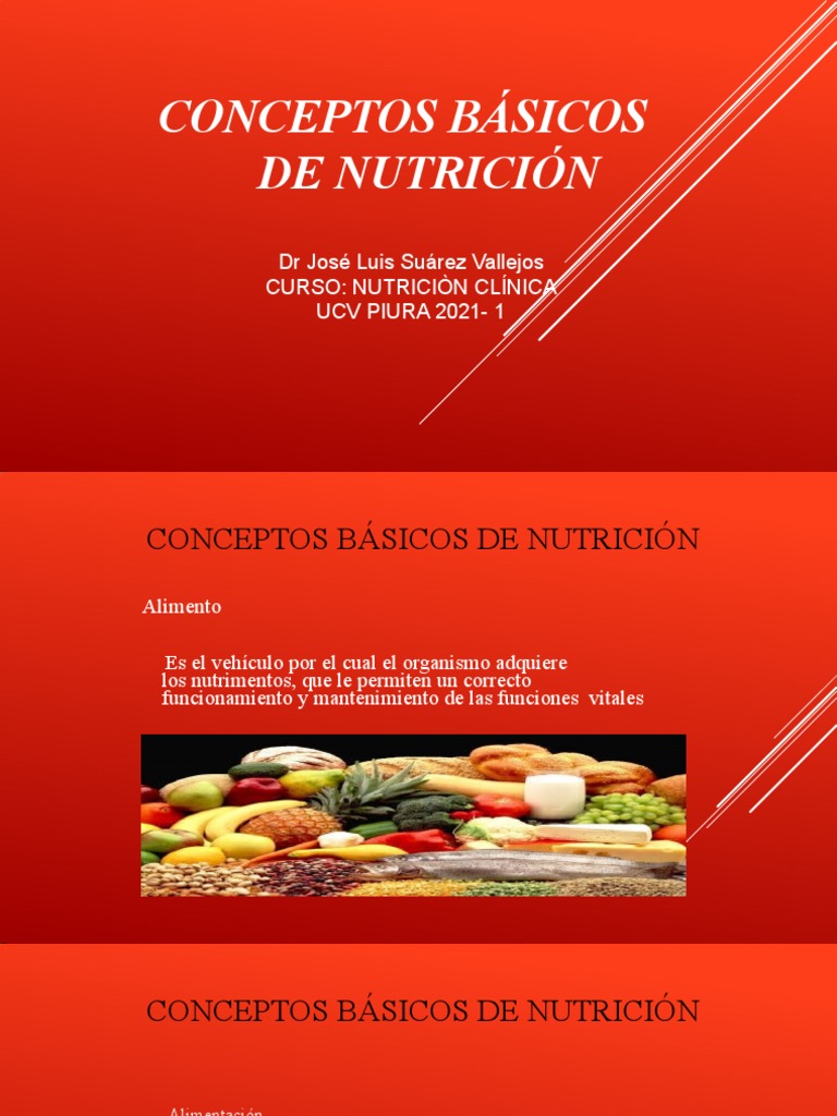 CONCEPTOS - BASICOS - DE - NUTRICION (1) .PDF SESION 1 | PDF | Nutrición | Dieta y nutrición
