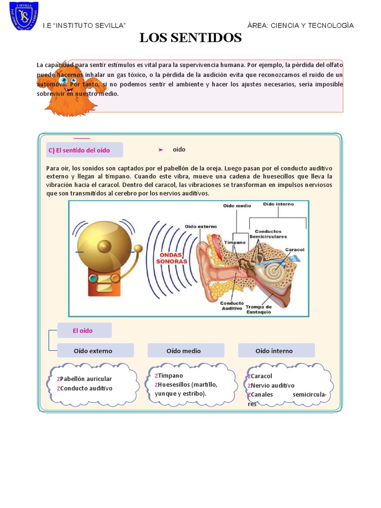 Sentido Del Oìdo 6to A - Mayo | PDF | Oído | Escuchando
