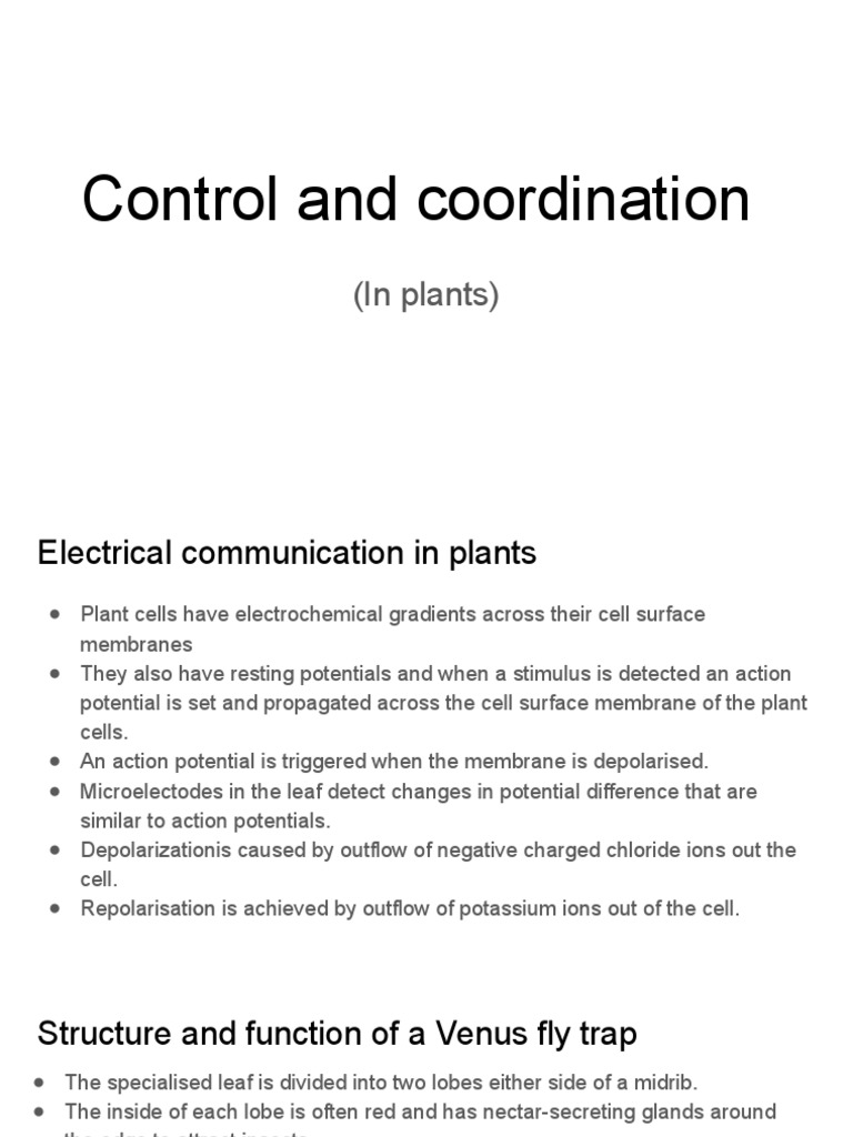 Plant Coordination and Control | PDF | Action Potential | Auxin