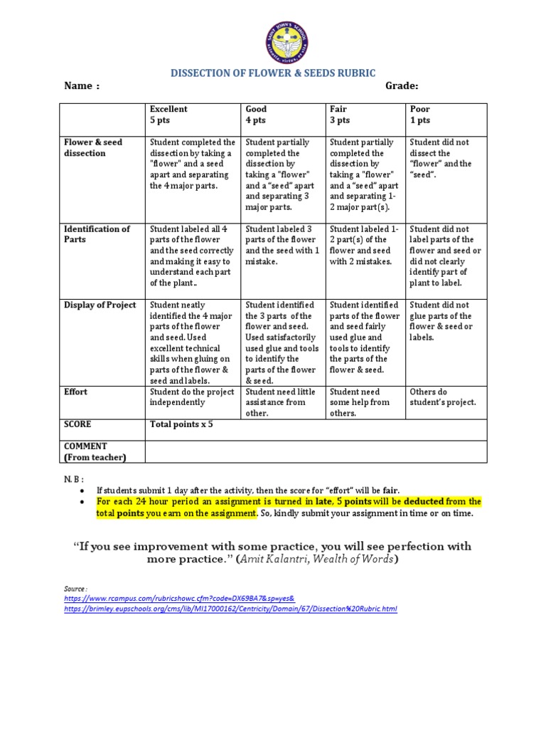 Rubric Dissection of A Flower and Seed Project | Download Free PDF ...